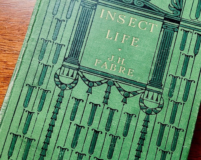 Insect Life (1901) - Vintage Entomology Book With Art Nouveau Cover - Etsy