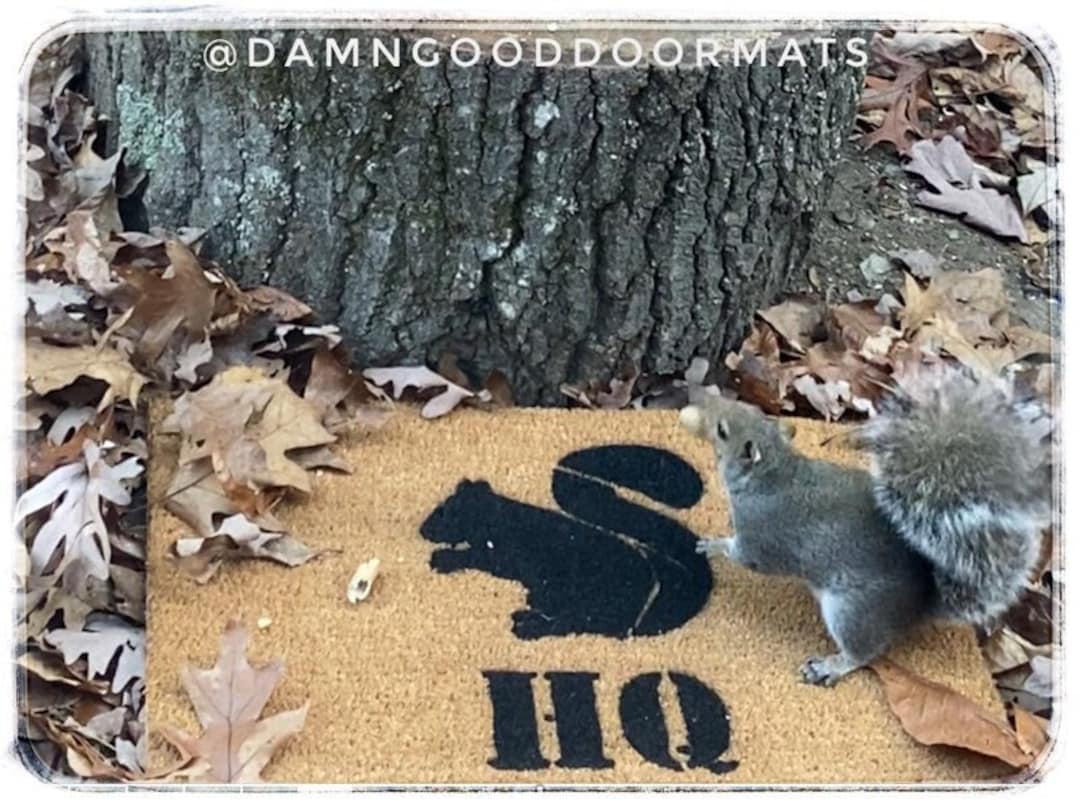 Squirrel Headquarters HQ Ranch Home Decor Doormat Country Farmhouse ...