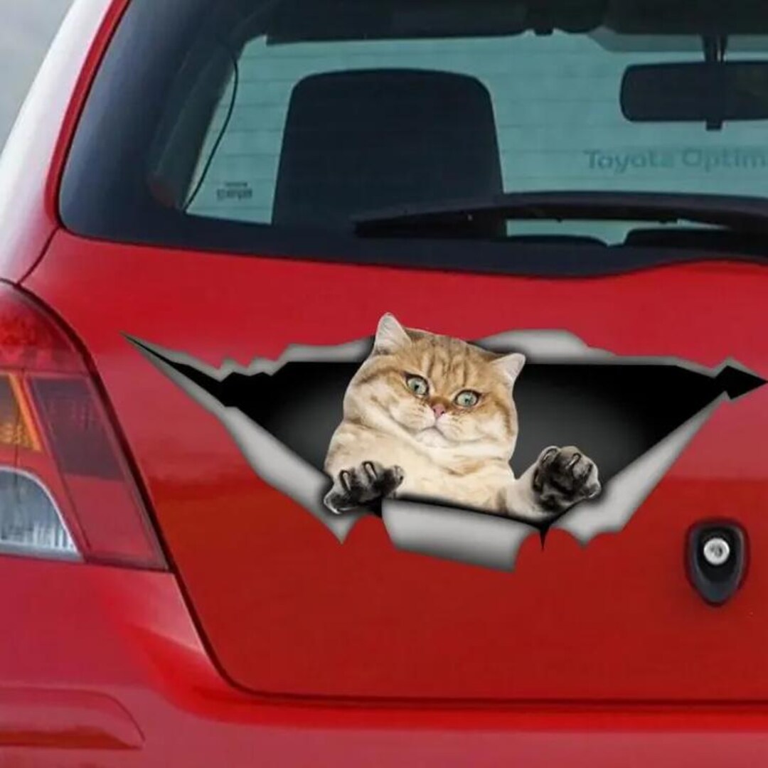 Golden Shaded British Shorthair Cat Decal, Cat Car Decal, Funny Sticker ...