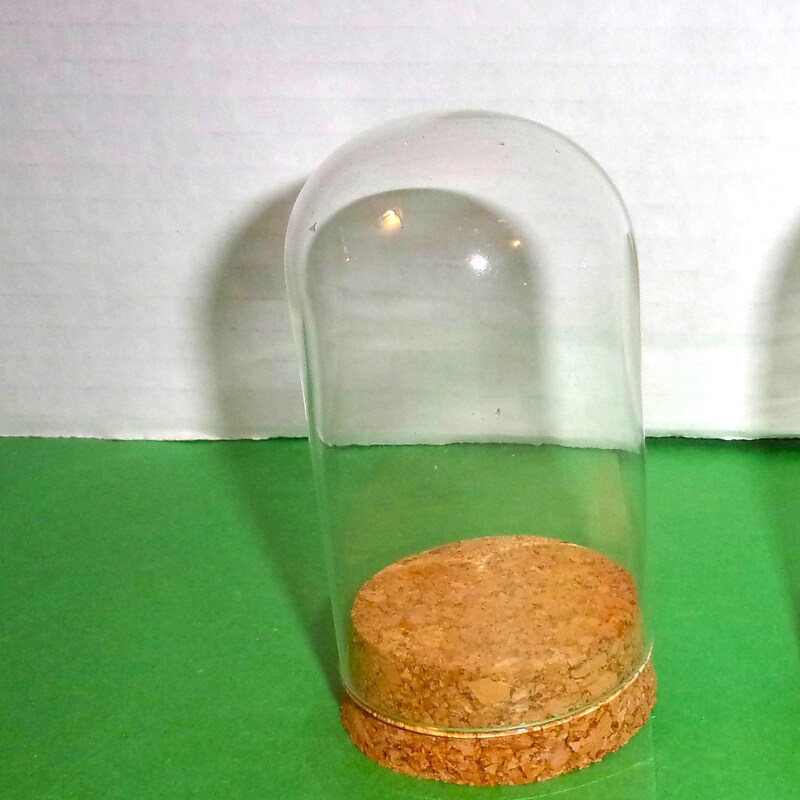 Glass Bell Jars - Etsy