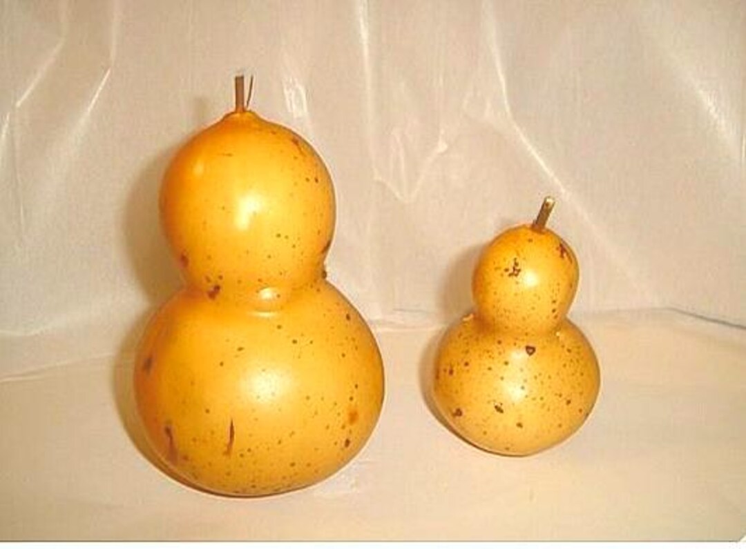 Tan/brown Speckled Artificial Gourds/ Set of 2/ Craft Supplies* - Etsy