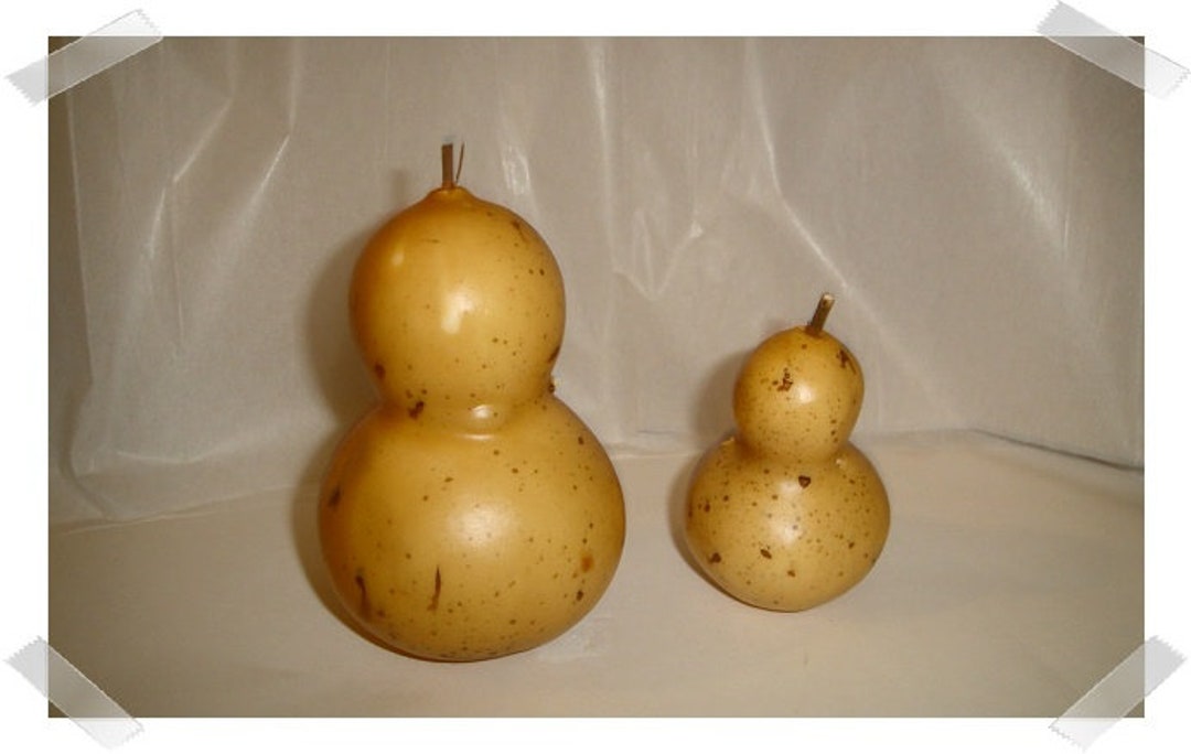 Tan/brown Speckled Artificial Gourds/ Set of 2/ Craft Supplies* - Etsy