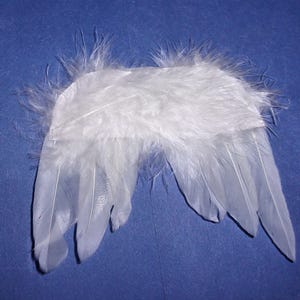 White Feather Angel Wing W/hanger Ornament/ 3 Sizes X-small, Small ...