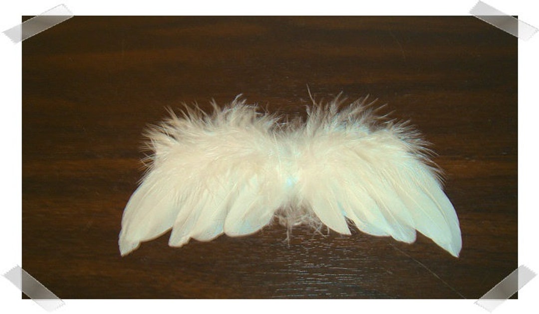 White Feather Angel Wing/ Small - 7" to 7 1/4" Long/ Craft Supplies* - Etsy