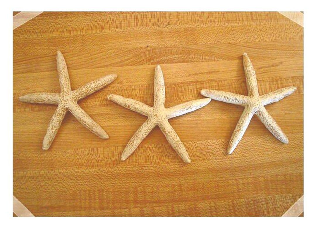 Set/3 Resin/plastic Starfish Craft Pieces/ Craft Supplies* - Etsy