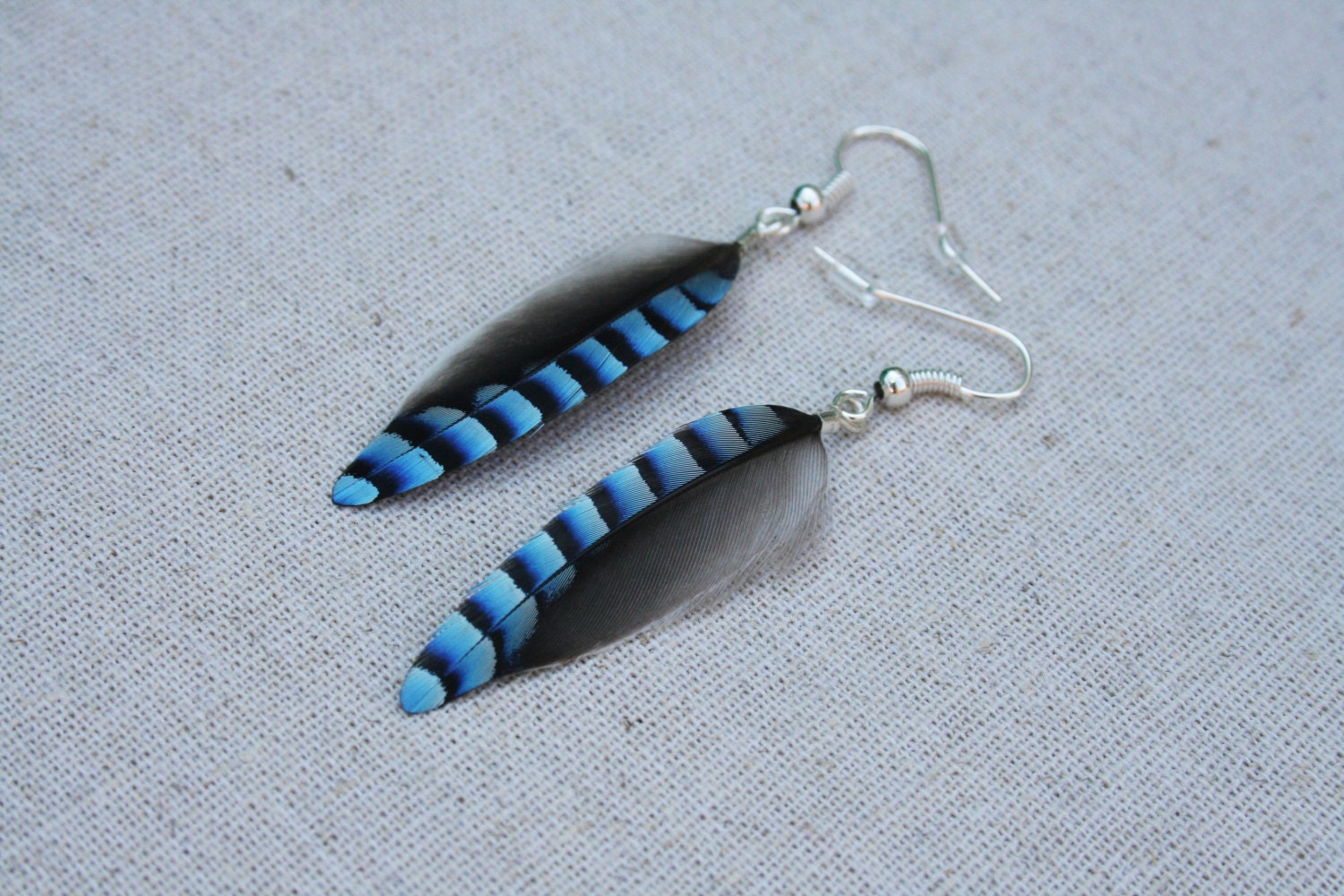 Jay Bird Blue Feather Earrings Sterling Silver Blue Jay Feather ...