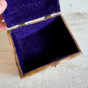 Vintage Bone Box With Brass Accents and Felted Lining - Unique Carved ...