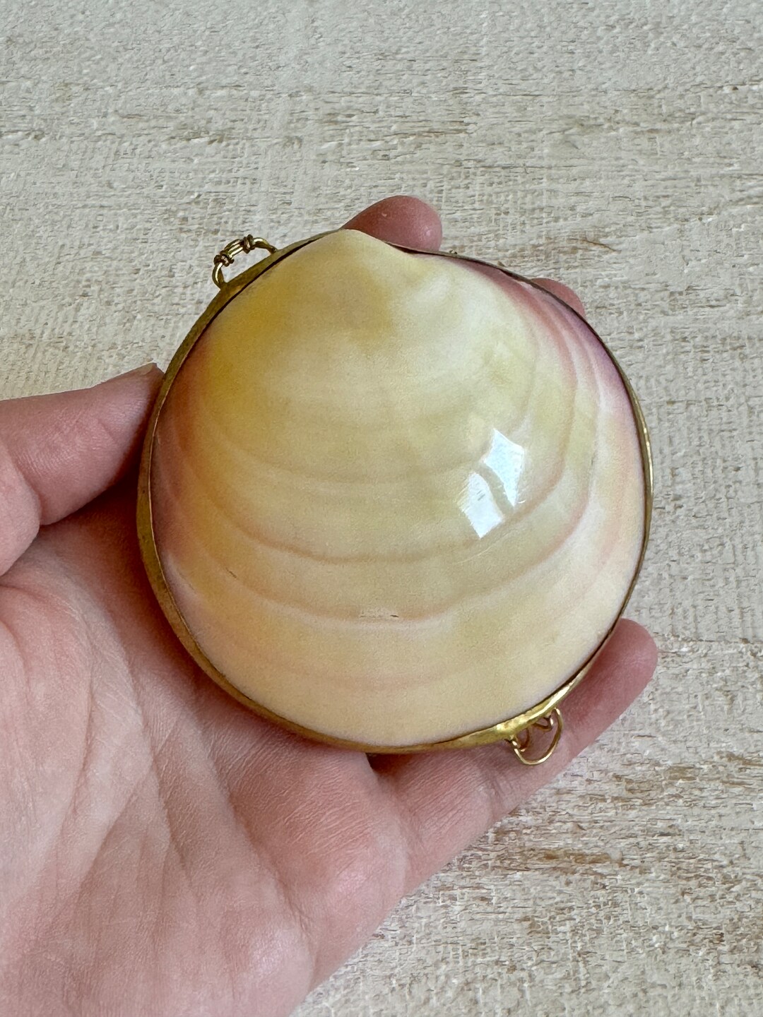 Vintage Sea Shell Trinket Box Vintage Hinged Shell Pill Box - Etsy