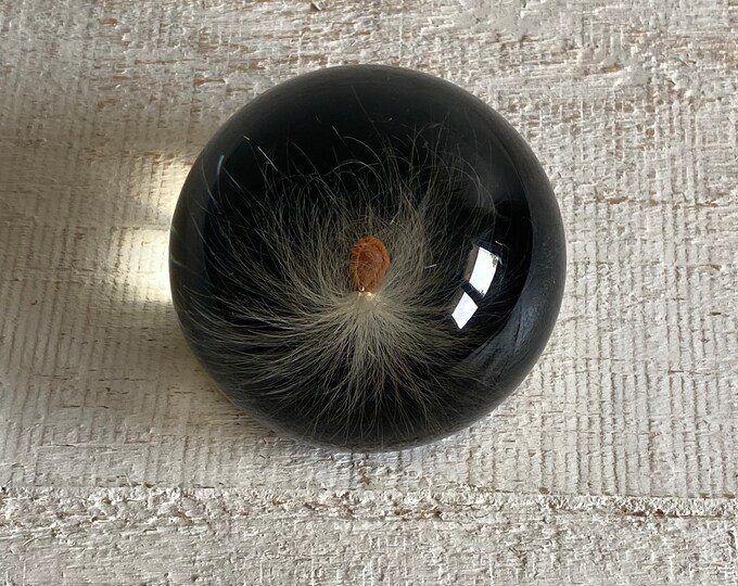 Vintage Tarax Infinity Collection Milkweed Seed Paperweight - Etsy