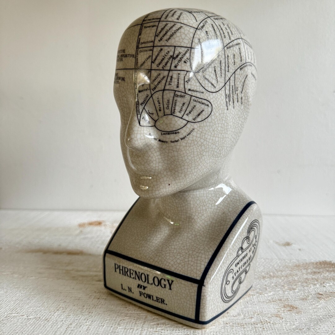 Vintage Ceramic Phrenology Head Bust by LN Fowler Mapped Human Mind ...
