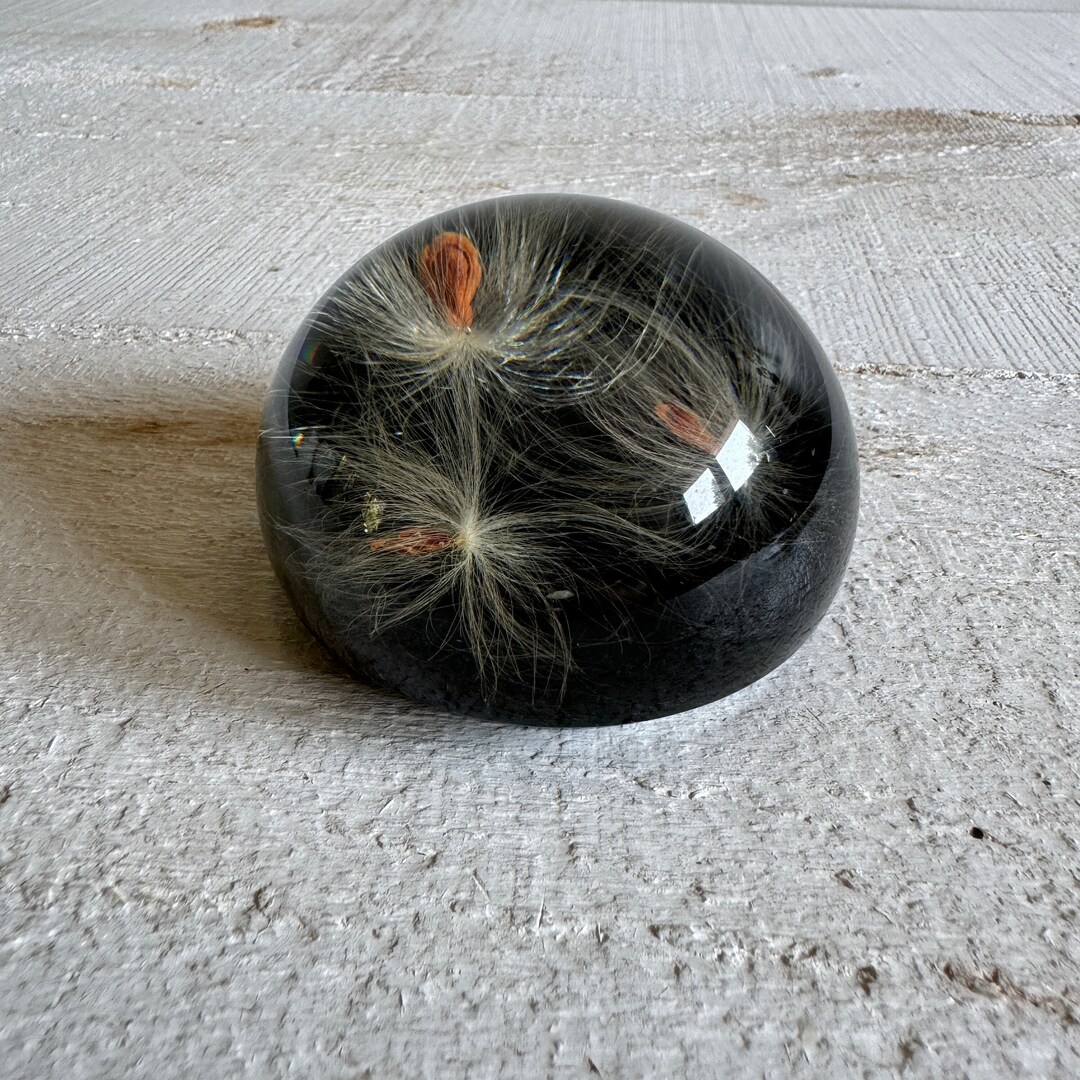 Vintage Tarax Infinity Collection Milkweed Seed Acrylic Paperweight - Etsy