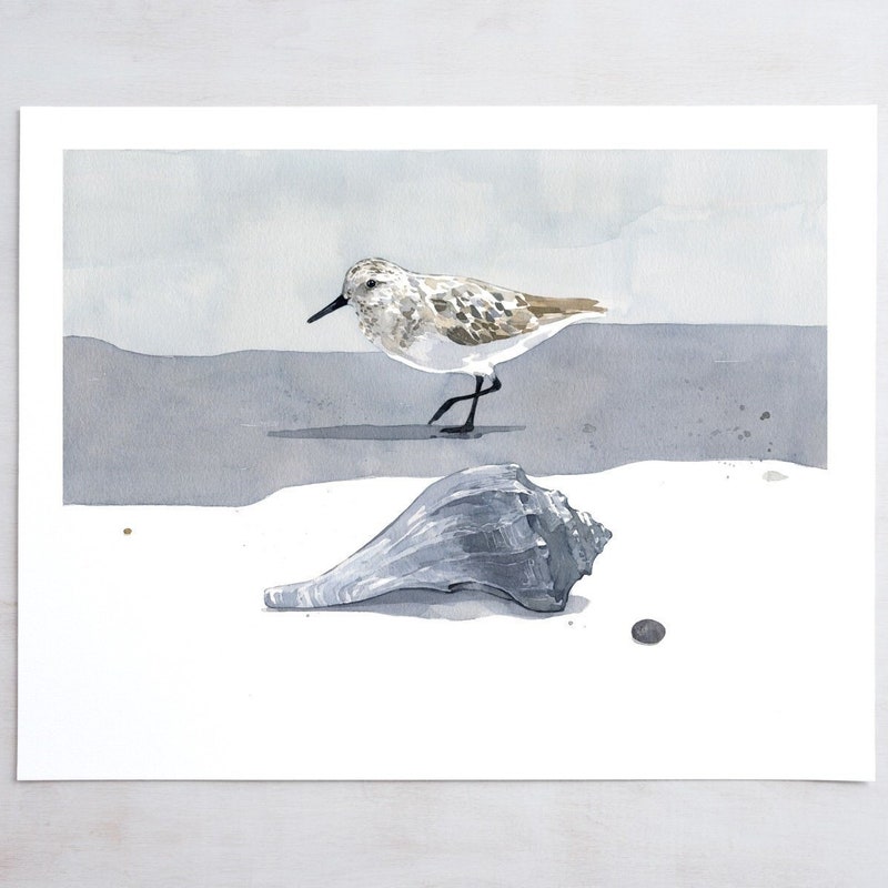Sandpiper Canvas Art - Etsy