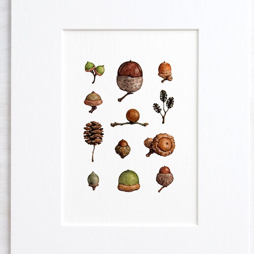 Acorn Watercolor Art Print Fall Wall Art Autumn Decor - Etsy