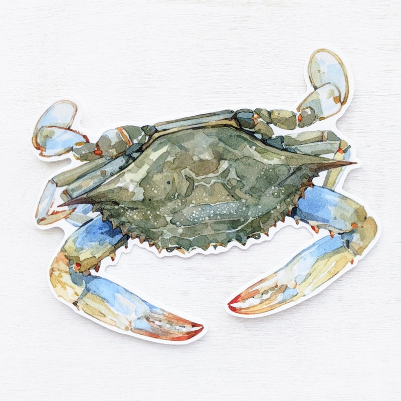 Blue Crab Car Sticker - Etsy Canada