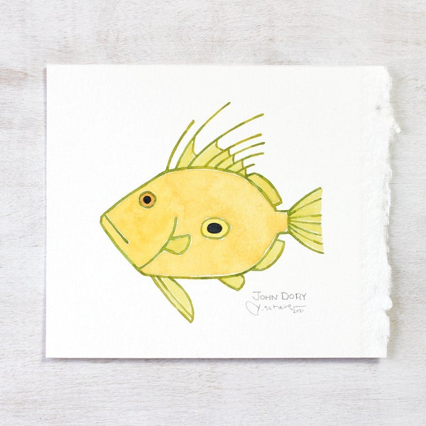 Dory - Etsy