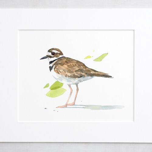 Killdeer Watercolor 8x10 Print Bird Painting Nature Decor - Etsy