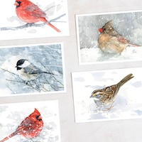 5 Gray Parrot Cards, African Gray Card, African Gray Parrot, 5 Blank ...