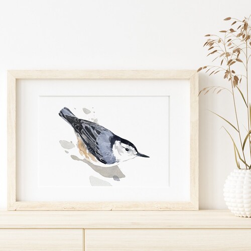 Nuthatch Watercolor Print Bird Painting Wall Art | Etsy