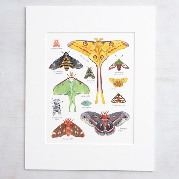 Moth Print - Etsy