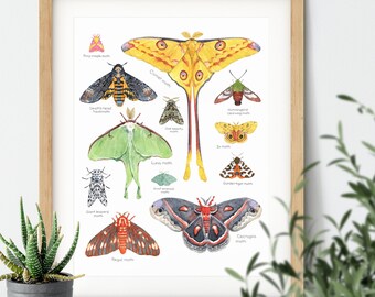Moth Print - Etsy