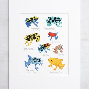 Poison Dart Frog Chart Print Kids Room Animal Wall Art Amphibian ...