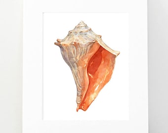 Conch Seashell Watercolor Painting, Conch Shell Art Print, Beach House ...