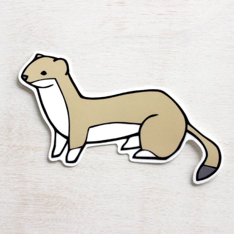 Weasel - Etsy