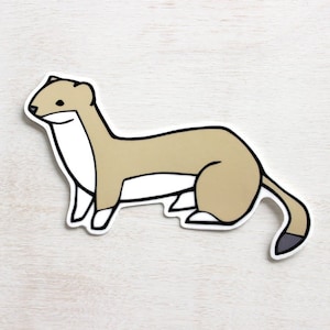 Weasel Vinyl Sticker Whimsical Animal Illustration - Etsy