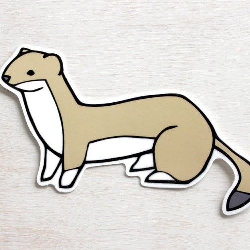 Weasel Vinyl Sticker Whimsical Animal Illustration - Etsy