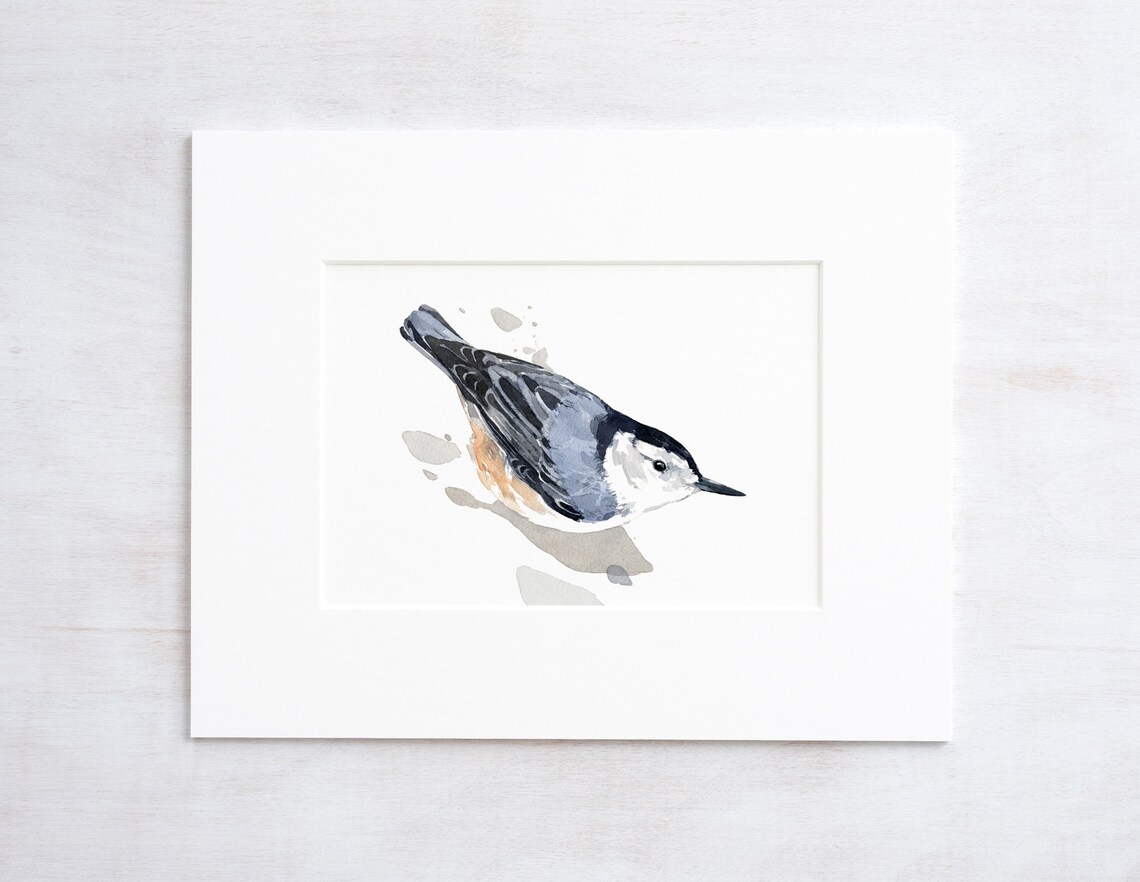 Nuthatch Watercolor Print Bird Painting Wall Art - Etsy