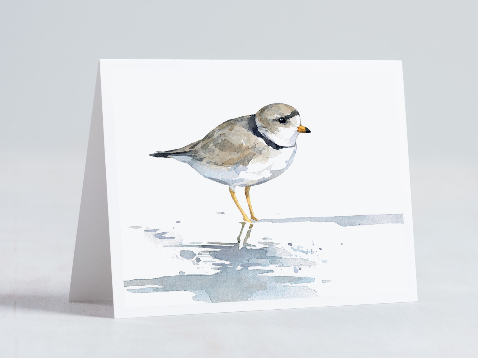 Shorebird Beach Card Set Mixed Bird Art Stationery Gift Set - Etsy