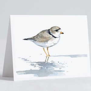 Shorebird Beach Card Set Mixed Bird Art Stationery Gift Set - Etsy