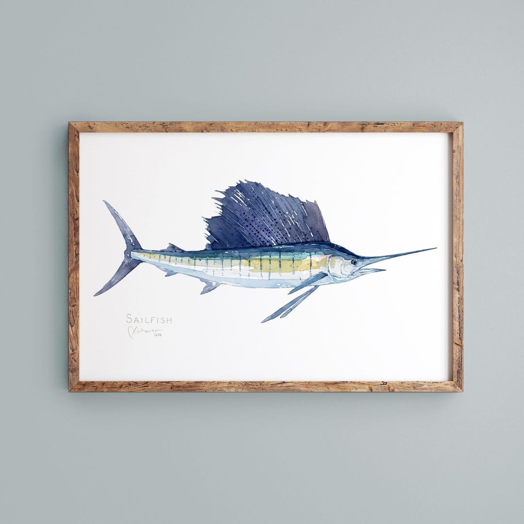 Sailfish Watercolor Print Ocean Fish Painting Coastal Decor - Etsy