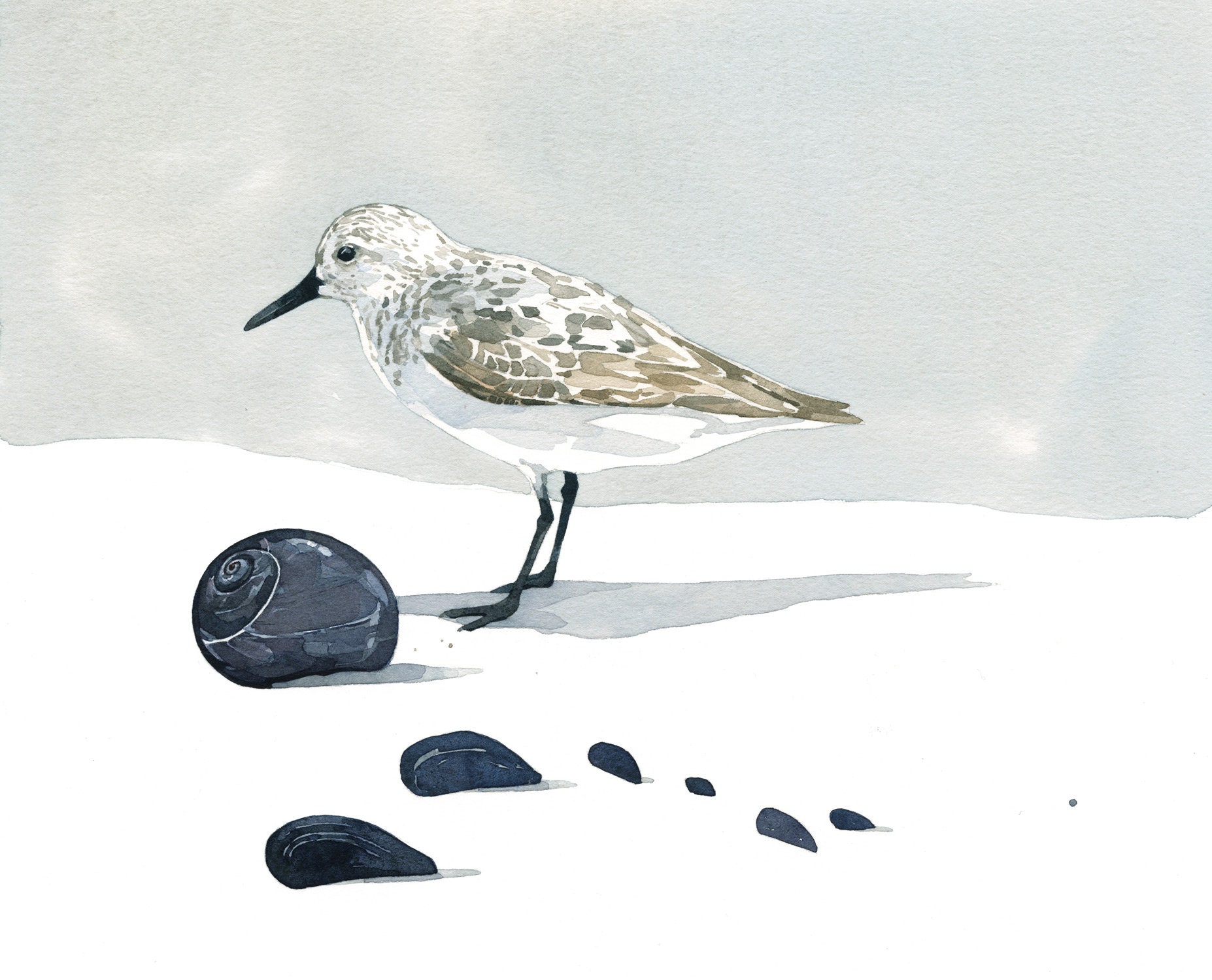 Sandpiper Watercolor Print Coastal Wall Art Shorebird Beach Decor ...