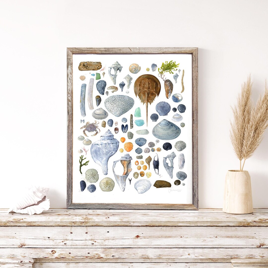 Beachcombing Shells Watercolor Print Coastal Seashore Painting Large ...