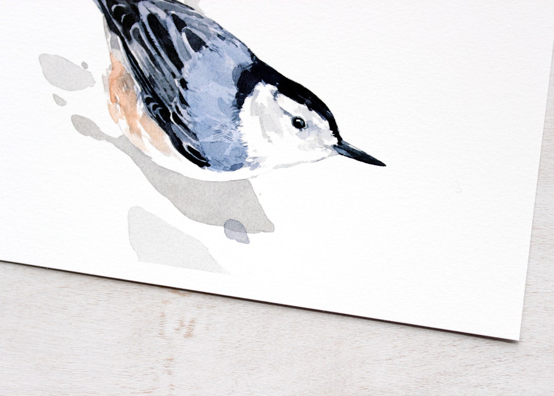 Nuthatch Watercolor Print Bird Painting Wall Art - Etsy Canada