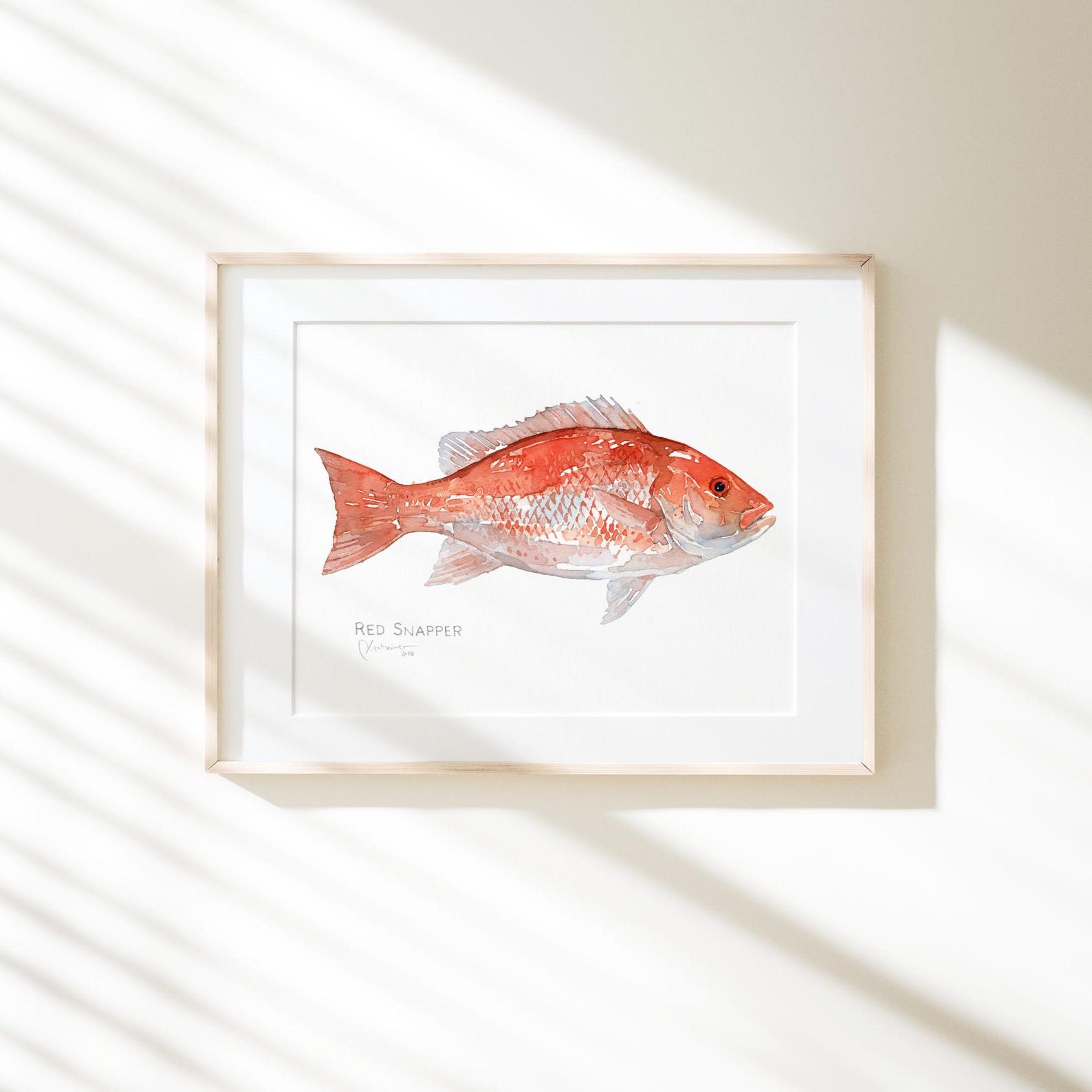 Red Snapper Watercolor Print Fish Painting Coastal Decor - Etsy