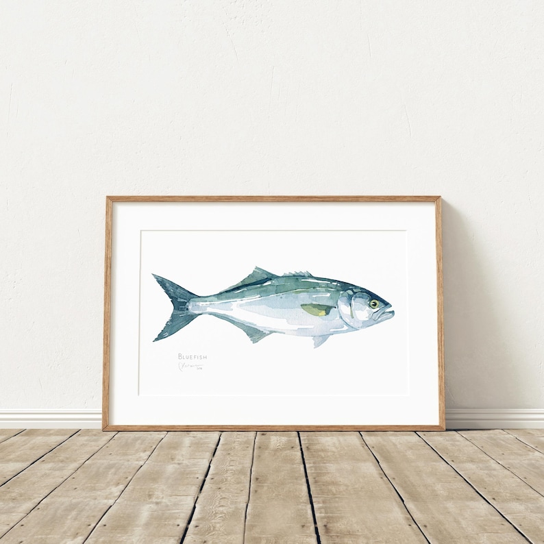 Bluefish Watercolor Print Fish Painting Nautical Decor - Etsy