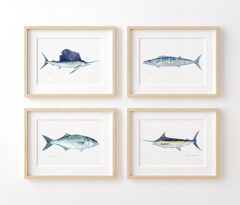 Sailfish Watercolor Print Ocean Fish Painting Coastal Decor - Etsy