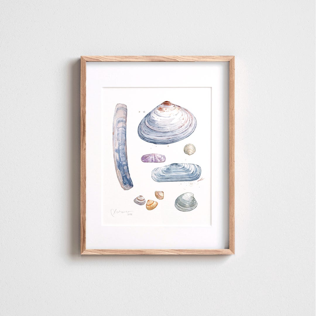 Clam Shells Watercolor Art Print Coastal Wall Decor - Etsy