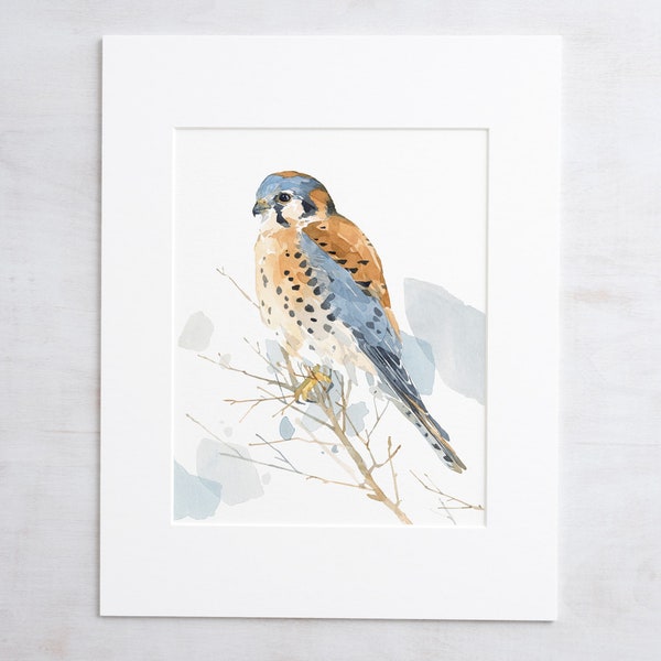 Kestrel Hawk Prints - Etsy