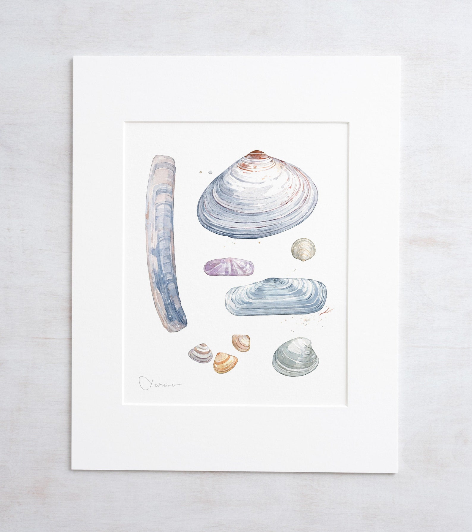 Clam Shells Watercolor Art Print Coastal Wall Decor - Etsy