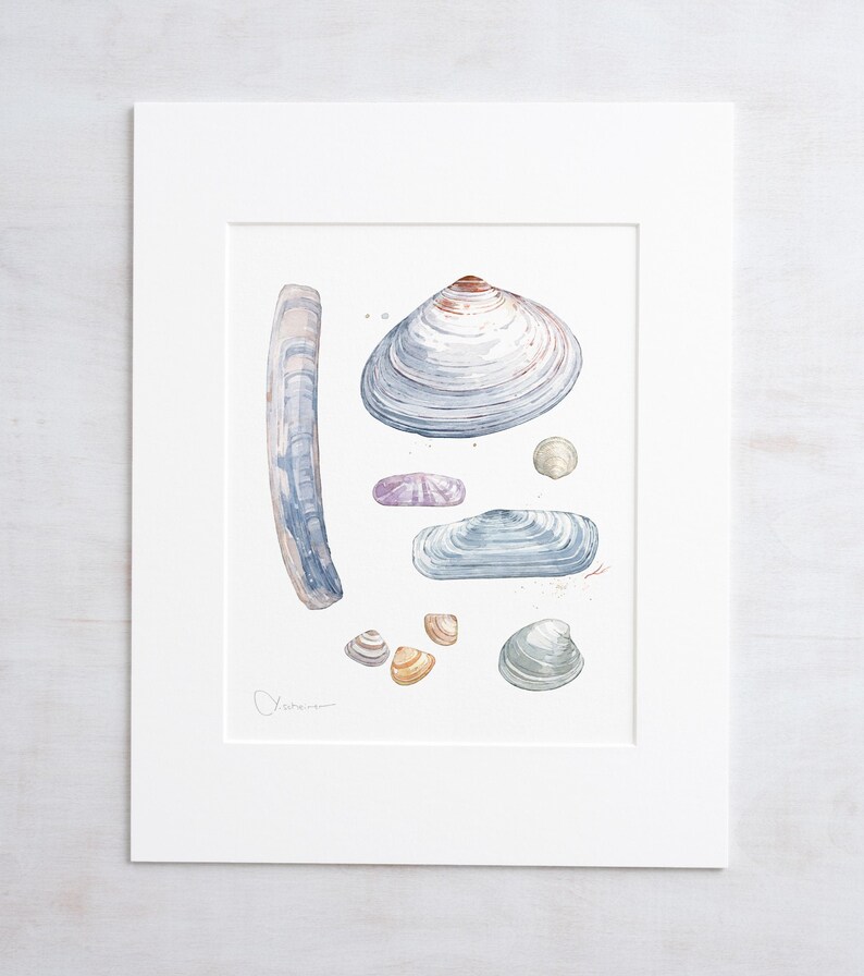 Clam Shells Watercolor Art Print Coastal Wall Decor - Etsy