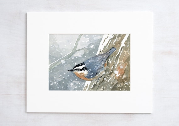 Nuthatch in Snow Watercolor Print Bird Wall Art | Etsy