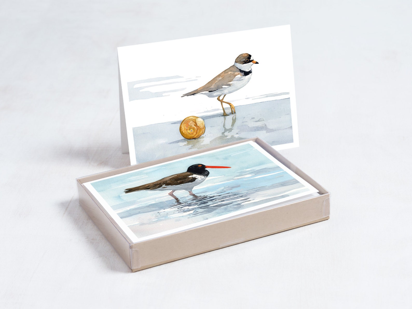 Shorebird Beach Card Set Mixed Bird Art Stationery Gift Set - Etsy