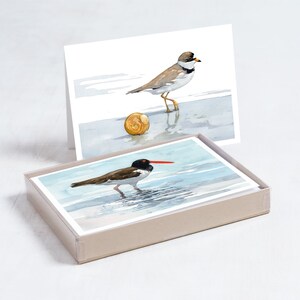 Shorebird Beach Card Set Mixed Bird Art Stationery Gift Set - Etsy