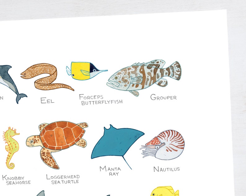 Ocean Animals Alphabet Print Sea Creatures Kids Wall Decor - Etsy