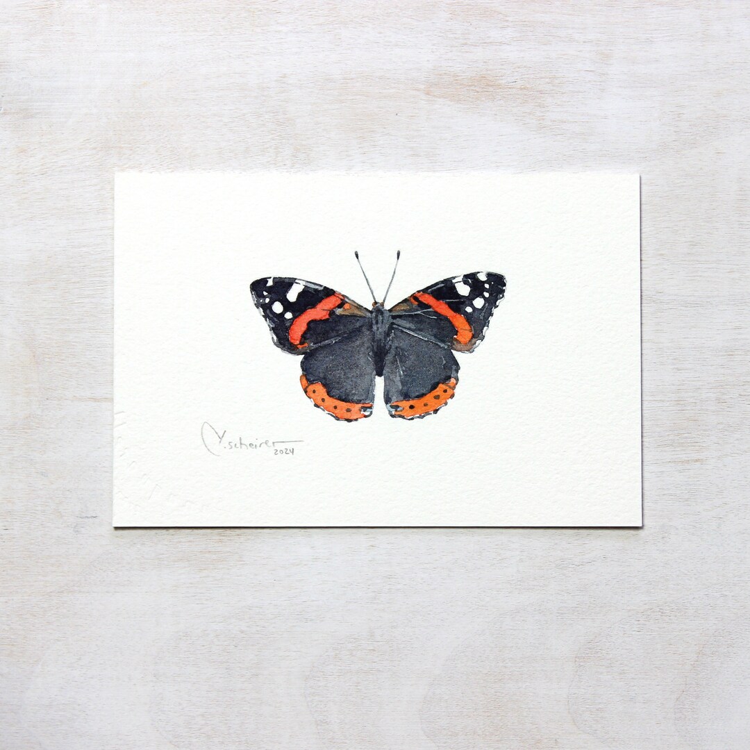 Original Red Admiral Butterfly Watercolor Painting - Etsy