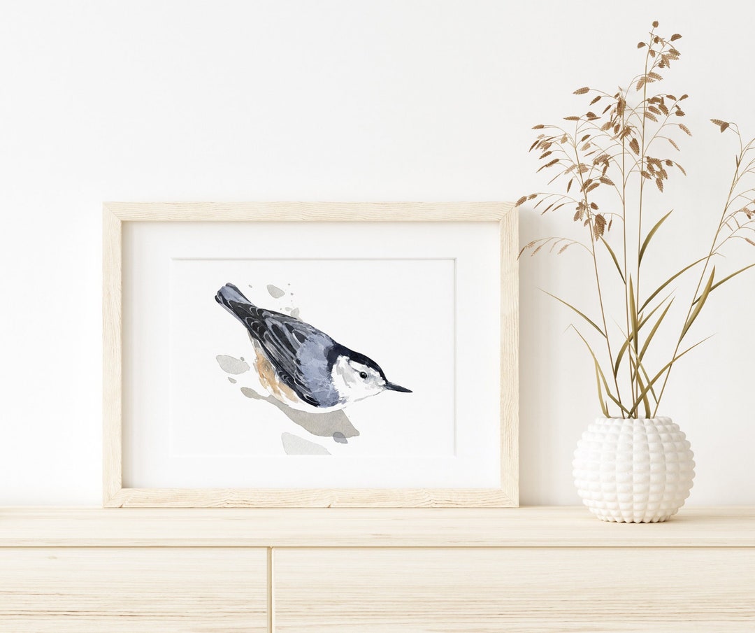 Nuthatch Watercolor Print Bird Painting Wall Art - Etsy