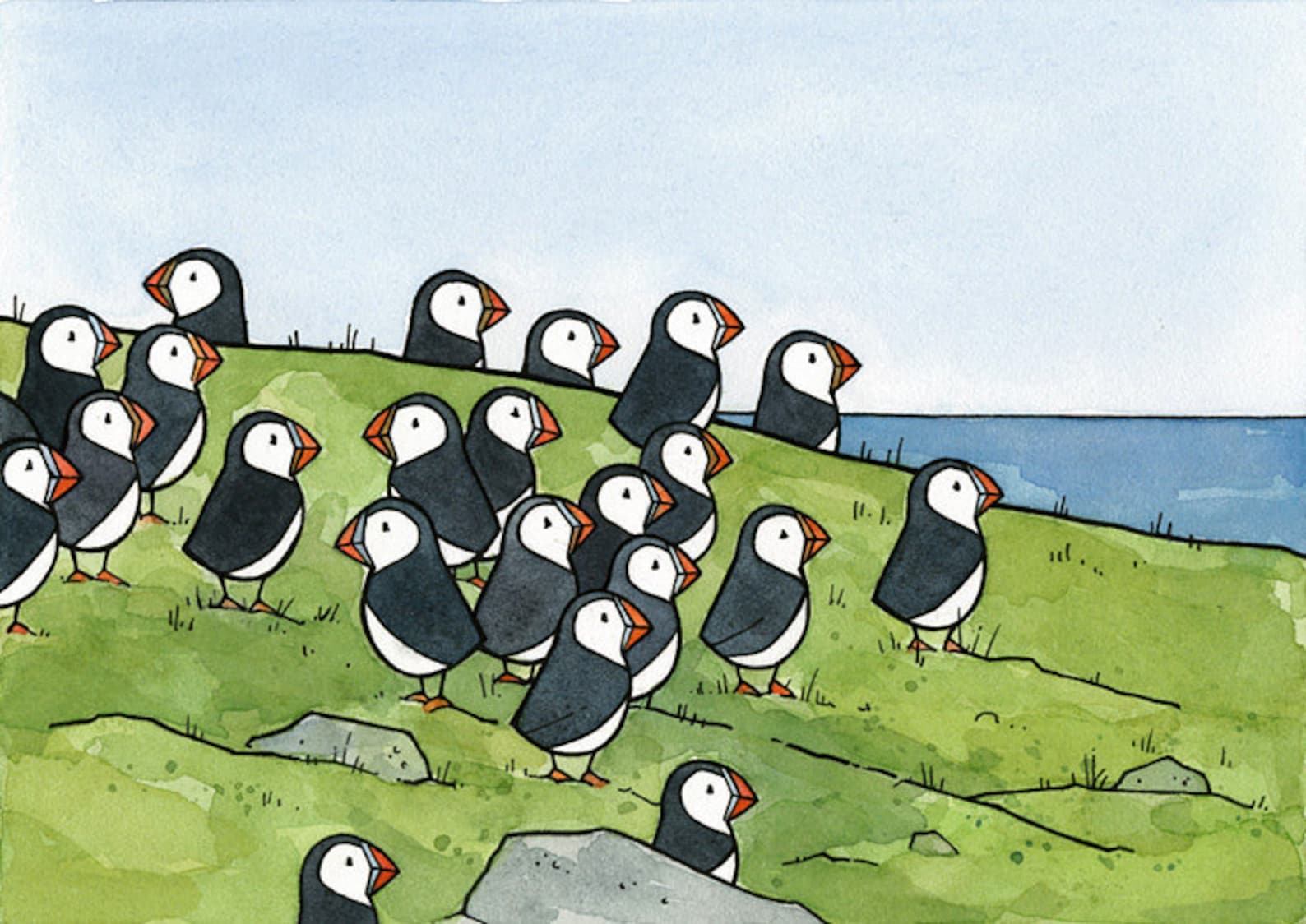 Puffin Colony Illustration Print Puffin Rock Island - Etsy